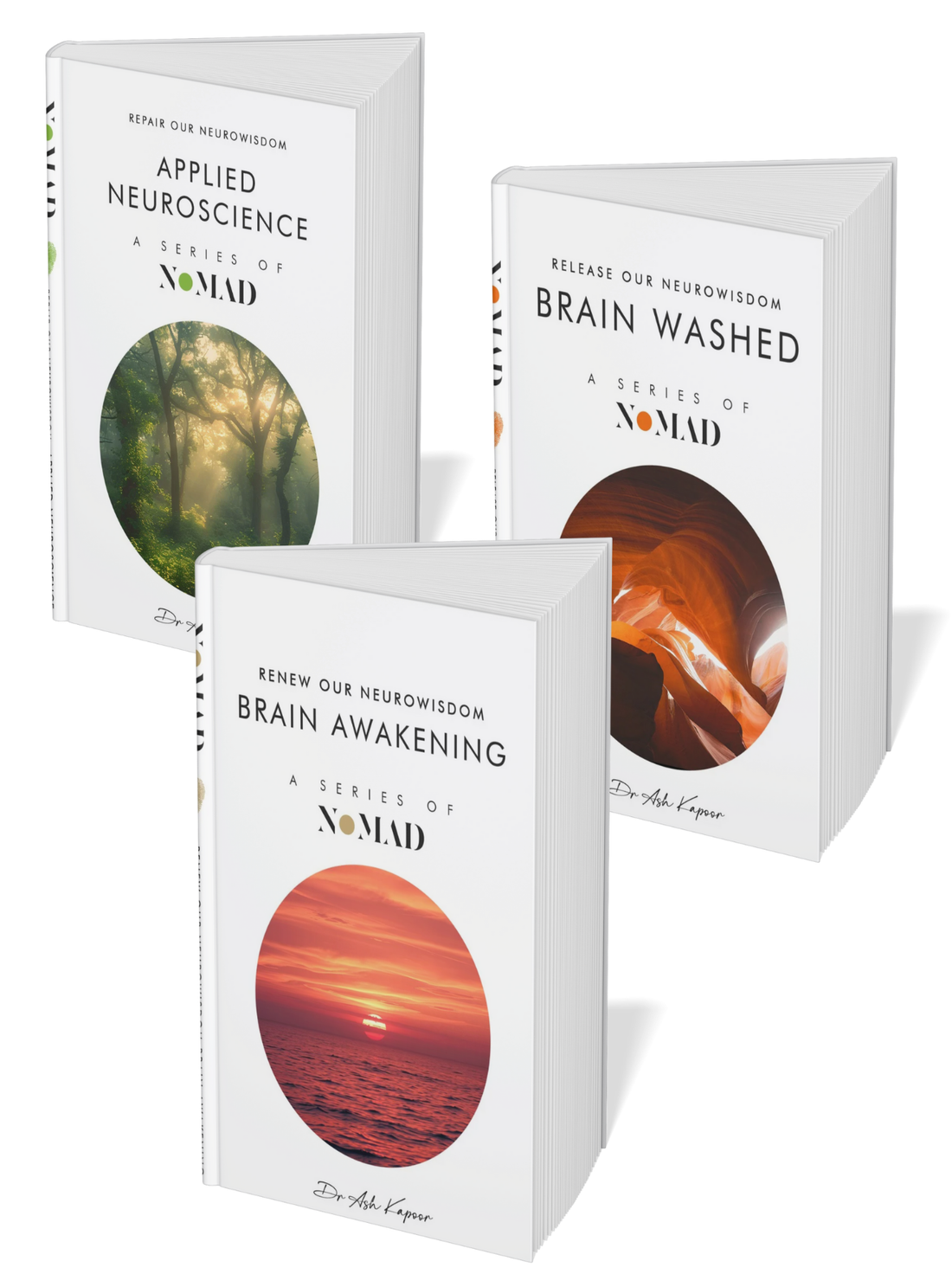 NoMAD Brain Book Bundle – Levitas Retail